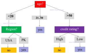 Decision Tree Induction and Entropy in data mining – T4Tutorials.com