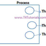 Static and Dynamic Routing Protocols, Advantages, Disadvantages, and Difference | T4Tutorials