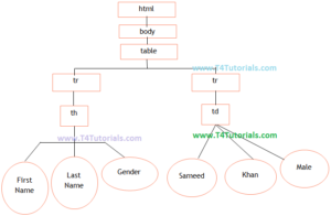 What is DOM(Document object model) in website Development | T4Tutorials.com