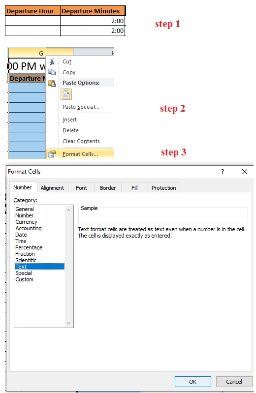 How To Change The Data Type Of A Cell In Excel T4Tutorials