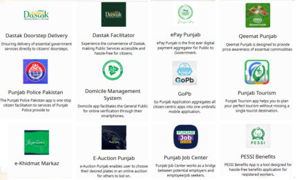 Punjab Govt Digital Services/Apps – T4Tutorials.com